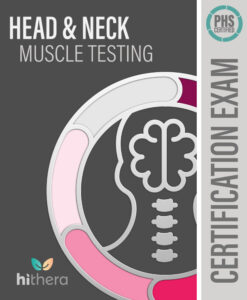Head & Neck Muscle Testing - Hithera